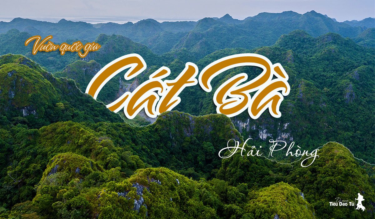 Vườn quốc gia Cát Bà ở đâu? Kinh nghiệm tham quan vườn quốc gia Cát Bà ...