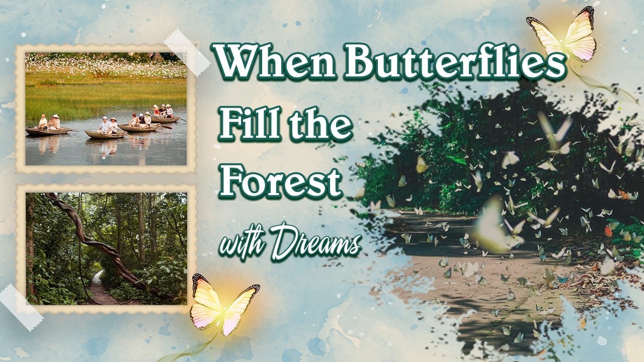 Experience a Fairytale Space at Cuc Phuong National Park, Ninh Binh